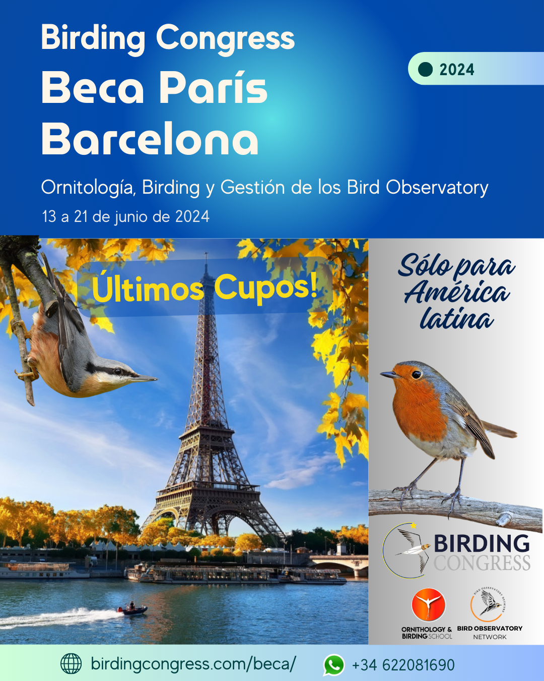 Beca - Birding Congress
